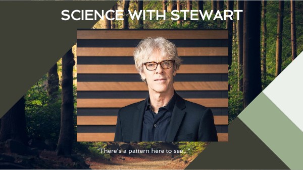 DIAGONAL PROJECT PRESENTATION | Genially