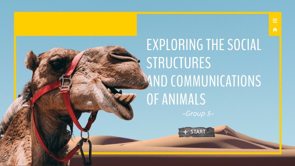 ANIMALS PRESENTATION | Genially
