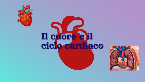 Il cuore e il ciclo cardiaco