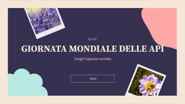 Quiz sulle api