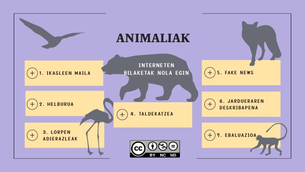 ANIMALIAK Interneten informazioa bilatzen | Genially