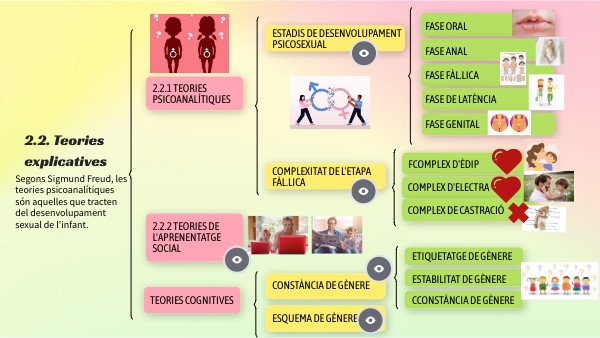 2.2 TEORIES EXPLICATIVES