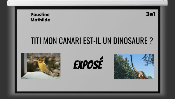 PROJECTION PRESENTATION | Genially