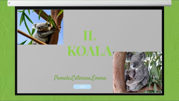 KOALA | Genially
