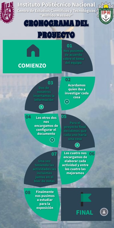 Cronograma del Proyecto | Genially