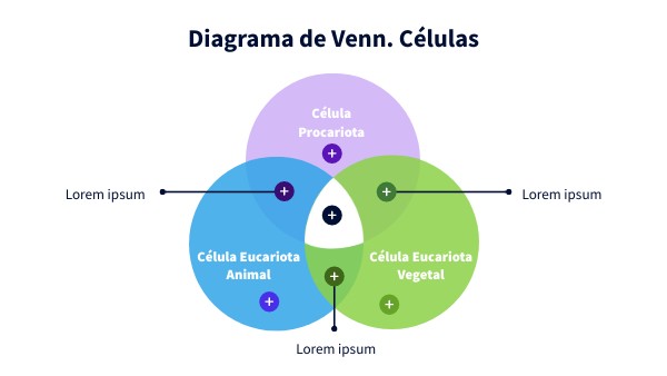 DIAGRAMA DE VENN CELULAS