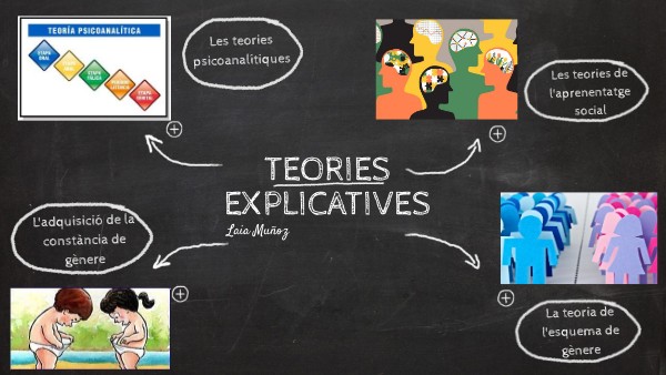 TEORIES EXPLICATIVES
