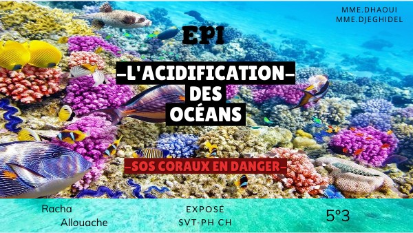 L'Acidification des Océans | Genially
