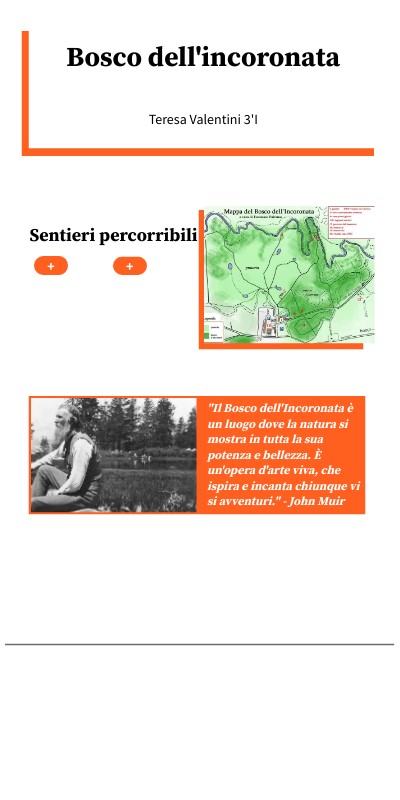 BASIC DIGITAL INFO | Genially