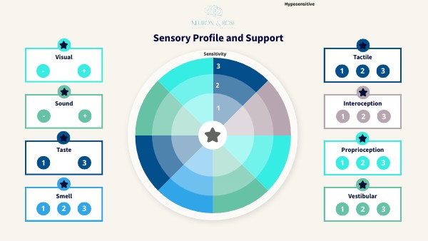 Sensory Profile and Support
