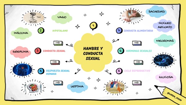 MAPA CONCEPTUAL ILUSTRADO | Genially
