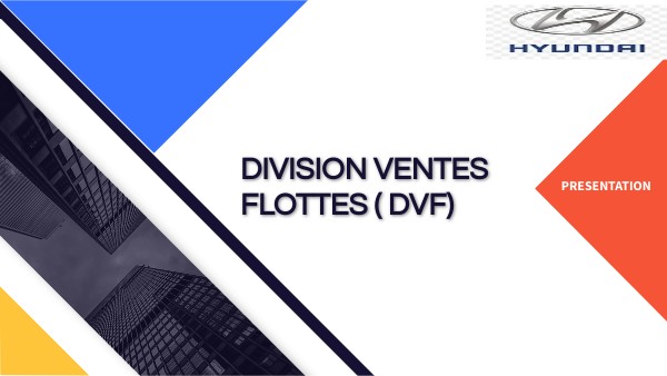 PRESENTATION DVF