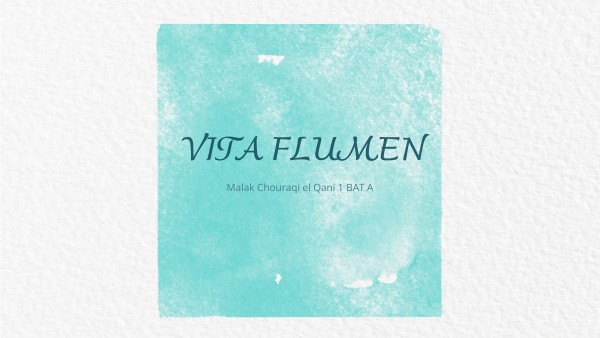 LITERATURA "VITA FLUMEN" | Genially