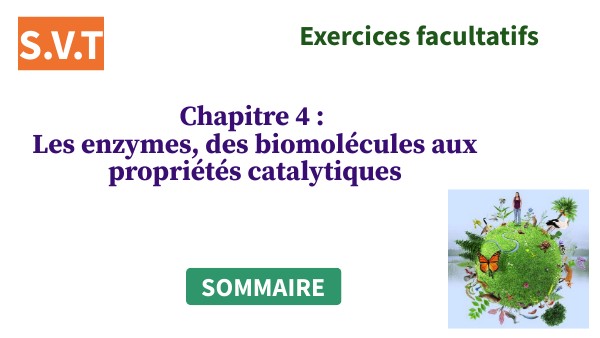 EXO _ 1ER spé _ Chap Enzyme | Genially