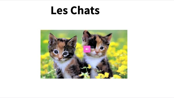 les chats