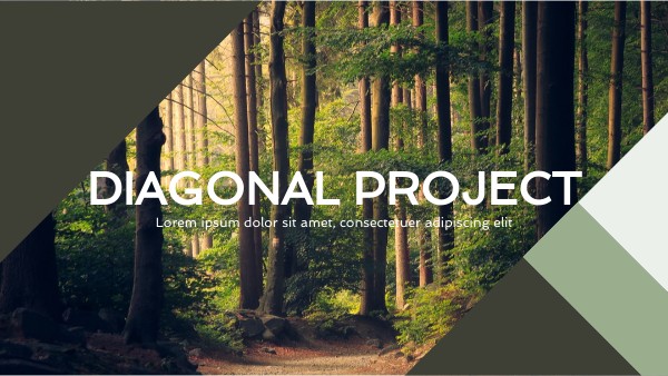 DIAGONAL PROJECT PRESENTATION | Genially