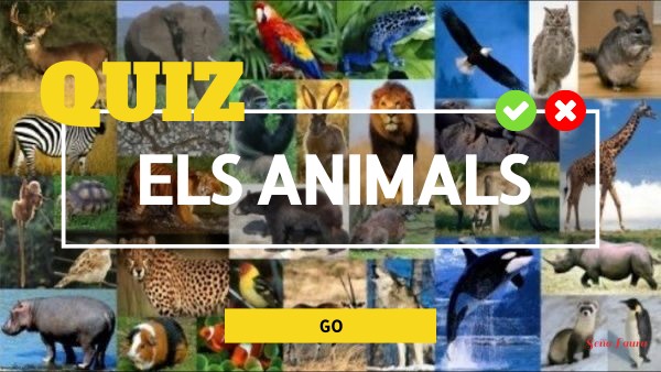 QUIZ ANIMALS