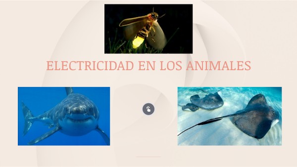LA ELECTRICIDAD EN LOS ANIMALES | Genially