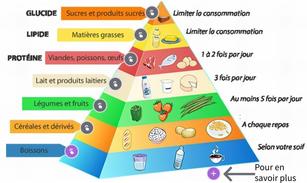 Les groupes d'aliments | Genially
