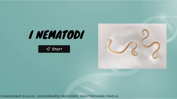 nematodi scienze