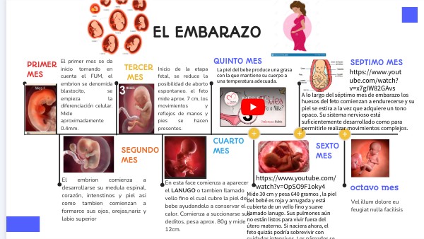 EL CICLO DEL EMBARAZO | Genially