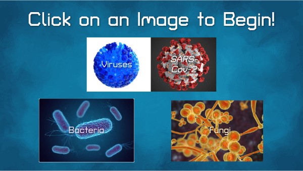 Pharmacology: Interactive Antimicrobial Diagram