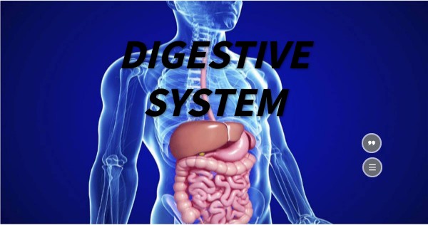 DIGESTIVE SYSTEM | Genially
