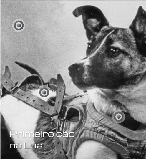 primeiro cão na lua