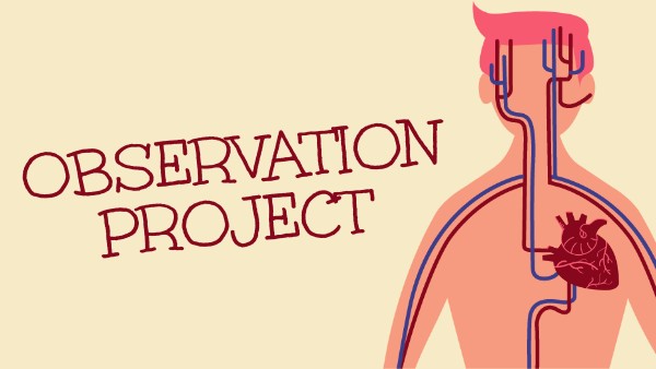 HUMAN BODY PRESENTATION