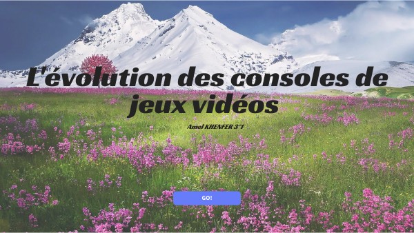 Exposé ev. Consoles jeux Amel