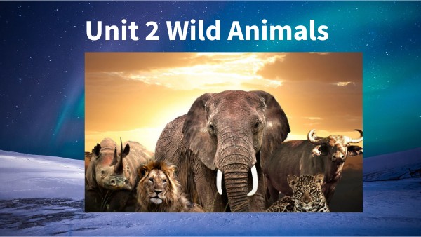 at3 u2 wonderful world