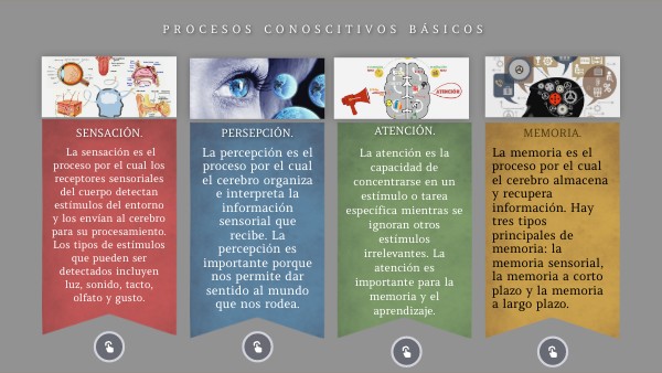 Procesos cognoscitivos básicos