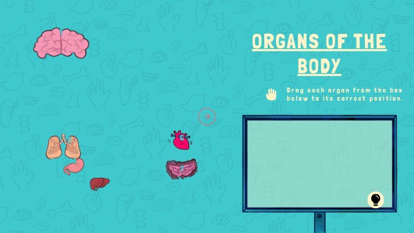 INTERACTIVE GAME - PUT THE ORGANS IN THE RIGHT PLACE | Genially
