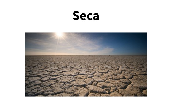 Seca