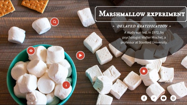 Marshmallow experiment | Genially