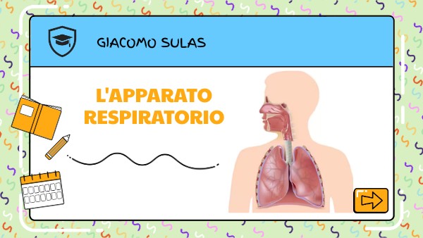 L'apparato respiratorio | Genially
