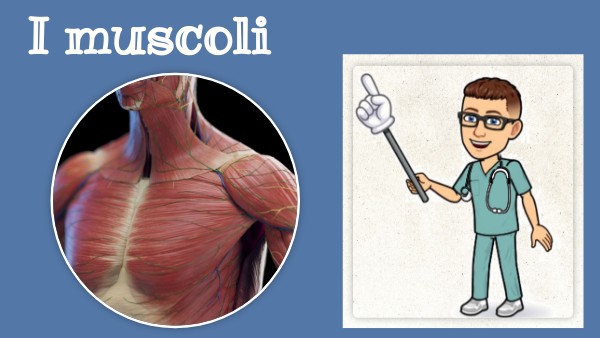I Muscoli( Sulas Giacomo) | Genially