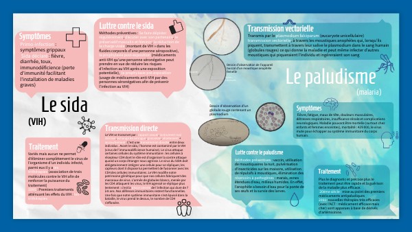 Comparaison Sida et Paludisme Zoé et Stella