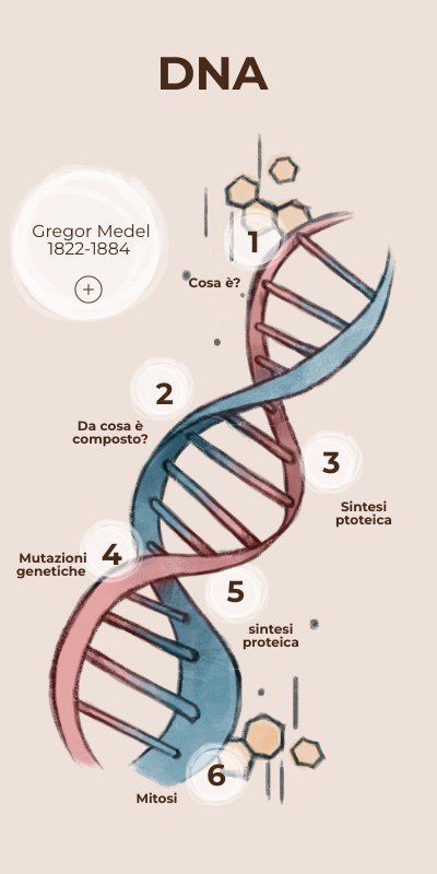 DNA VERTICAL INFO