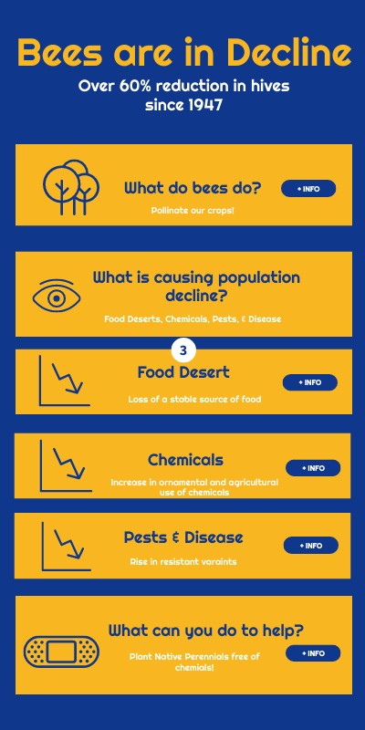 What is Causing Bee decline