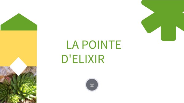 PRESENTATION POINTE ELEXIR FICHE E6 | Genially
