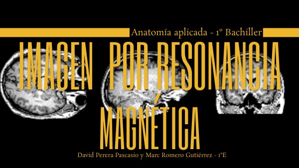 PRESENTACIÓN IRM | Genially