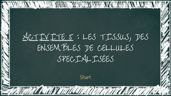 spécialisation des cellules secondes | Genially