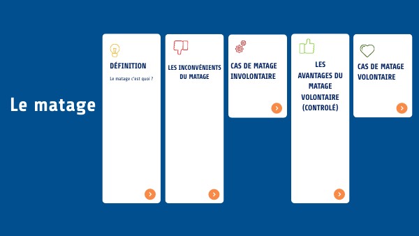 Le matage | Genially