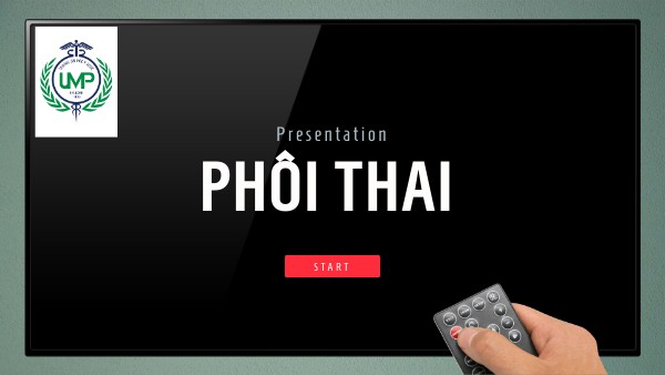 TELEVISION PRESENTATION