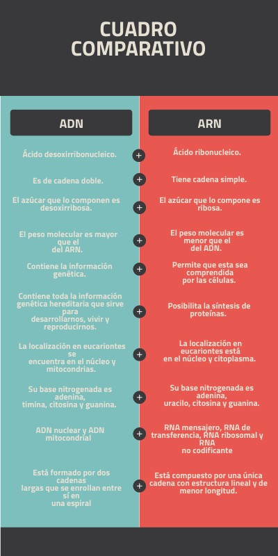 COMPARATIVO ADN Y ARN | Genially