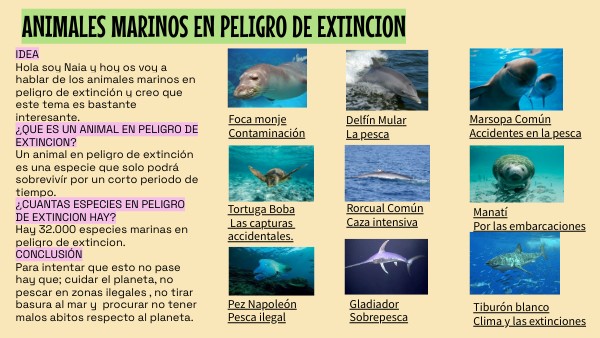 Infografía Animales marinos | Genially