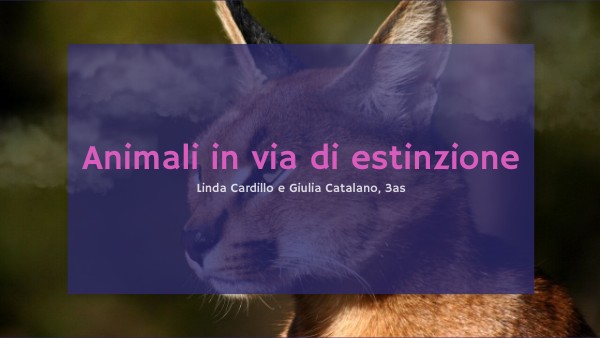 animali in via di estinzione | Genially