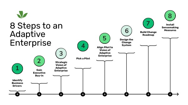 Steps to Adaptive Enterprise