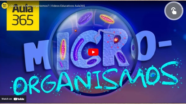 QUIZ LOS MICROORGANISMOS | Genially